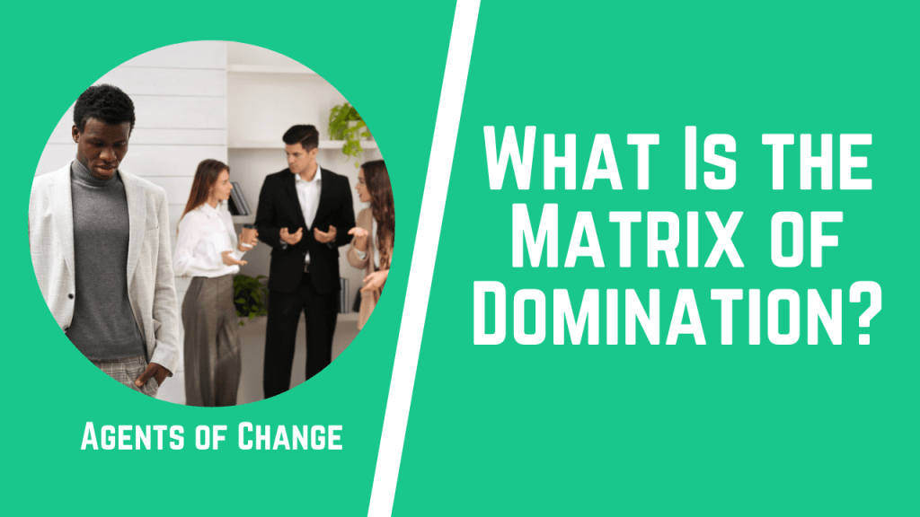 What is the Matrix of Domination? - Agents of Change