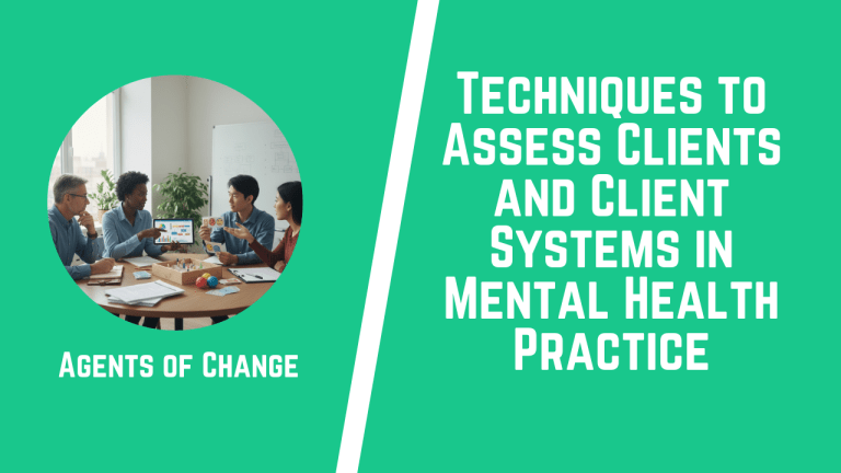 Techniques to Assess Clients and Client Systems in Mental Health ...